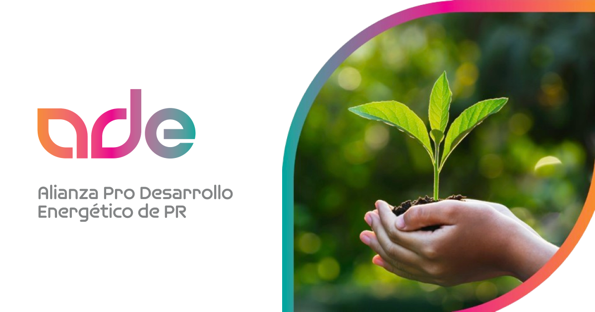 Sobre Nosotros | ADEPR